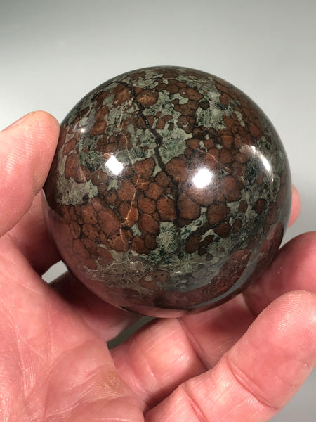 Eclogite, Roberts Victor (Rovic) Mine, Boshof, Lejweleputswa District ...